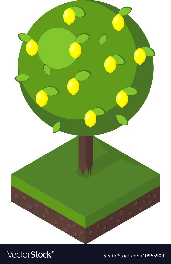 Isometric tree Royalty Free Vector Image - VectorStock