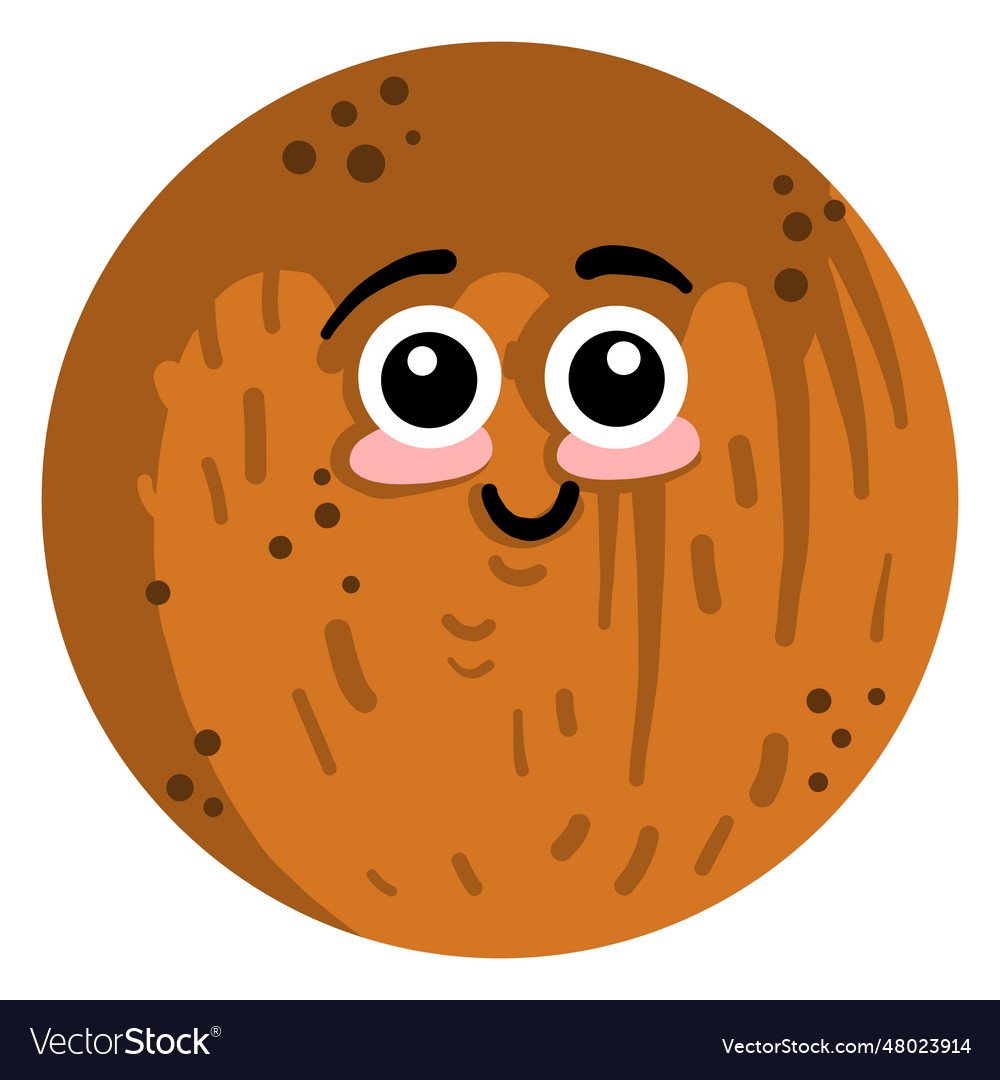 Coconut coco flat Royalty Free Vector Image - VectorStock