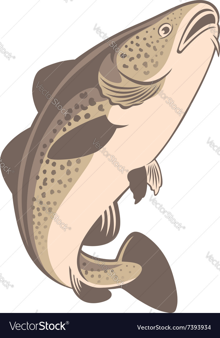 Cod fish Royalty Free Vector Image - VectorStock