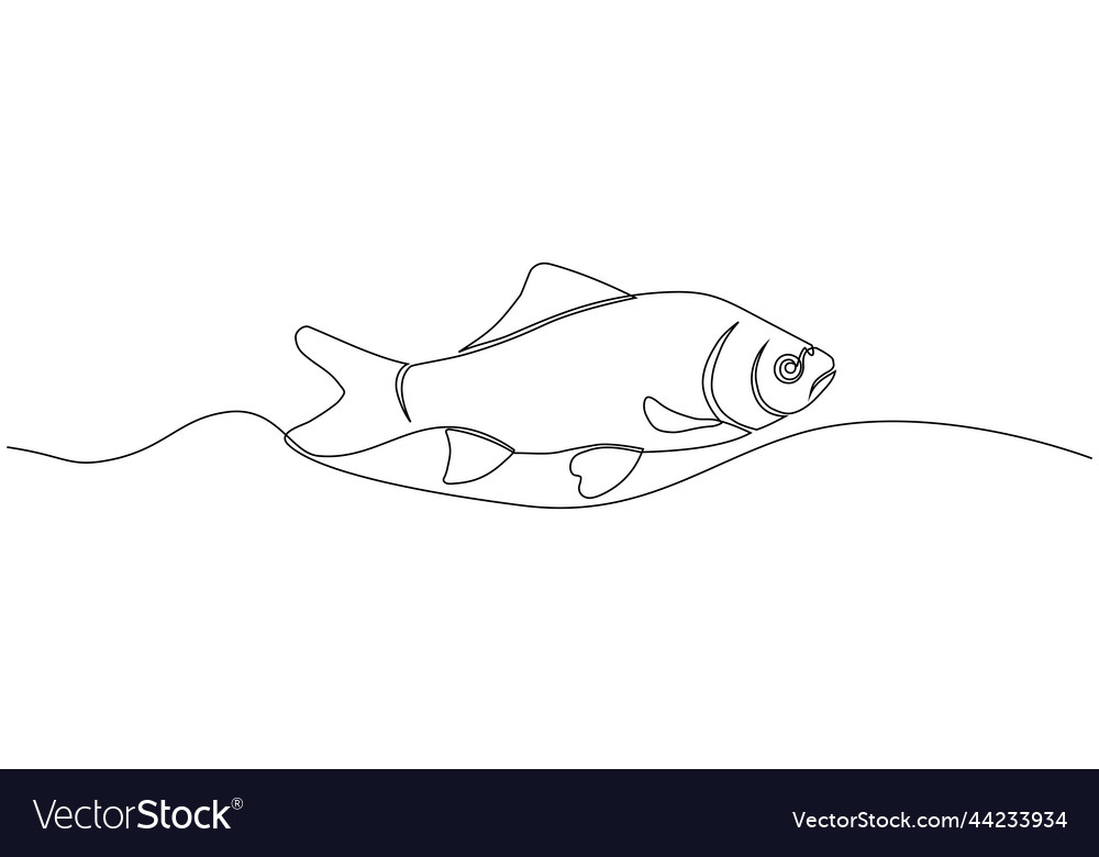 Fish Royalty Free Vector Image - VectorStock