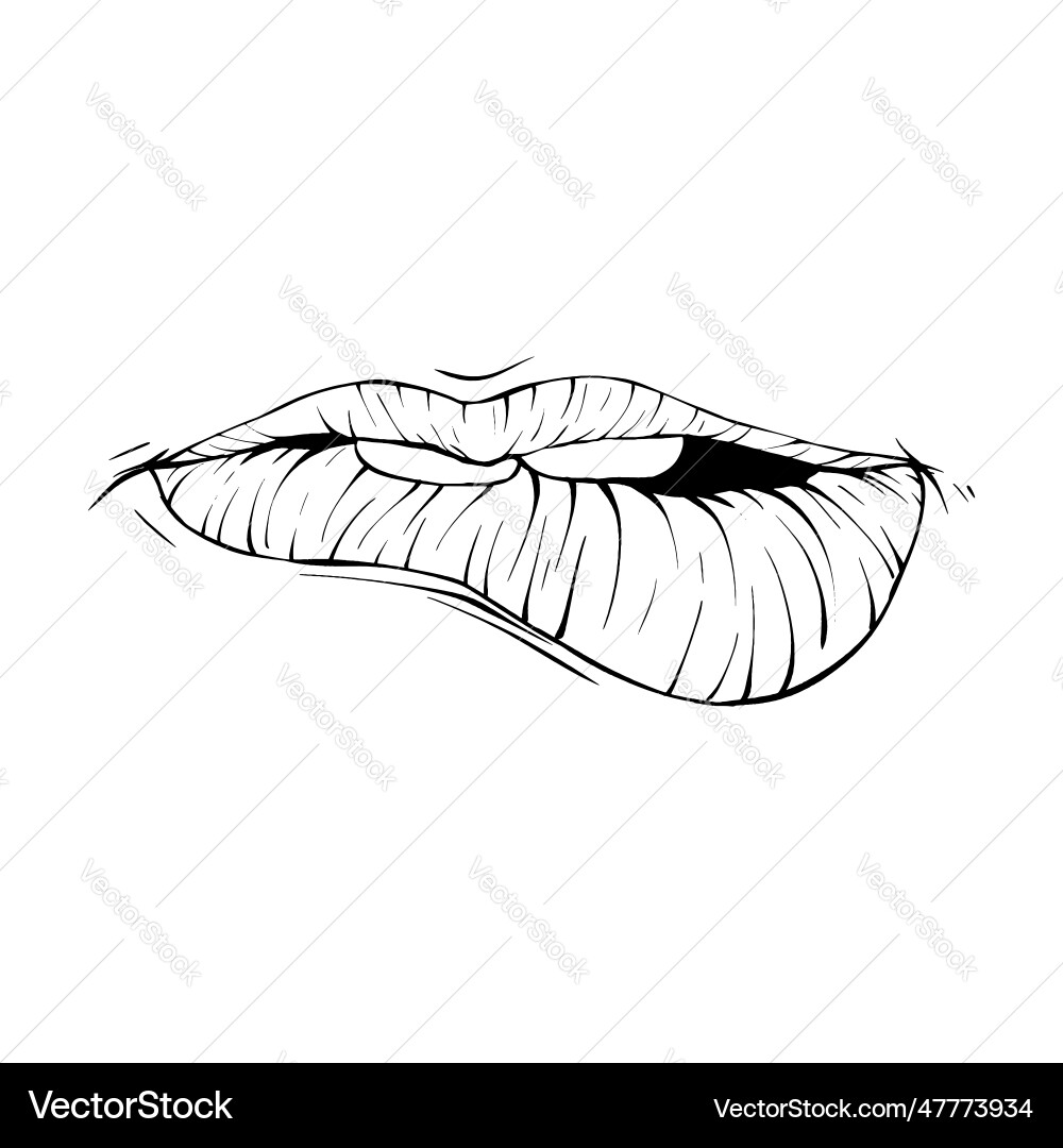 Mouth lips sketch line art Royalty Free Vector Image