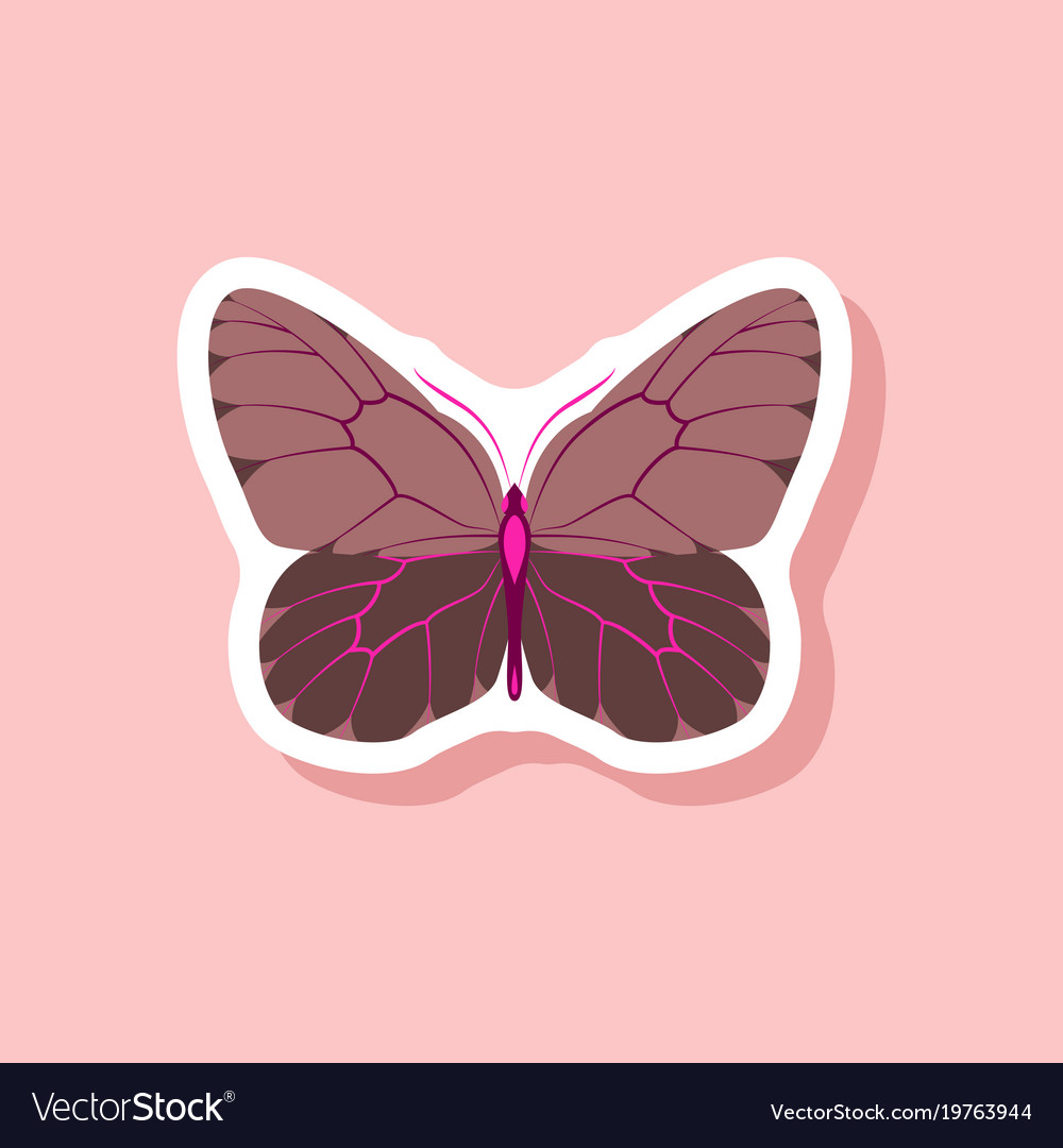 Butterfly Paper Sticker On Stylish Background Vector Image