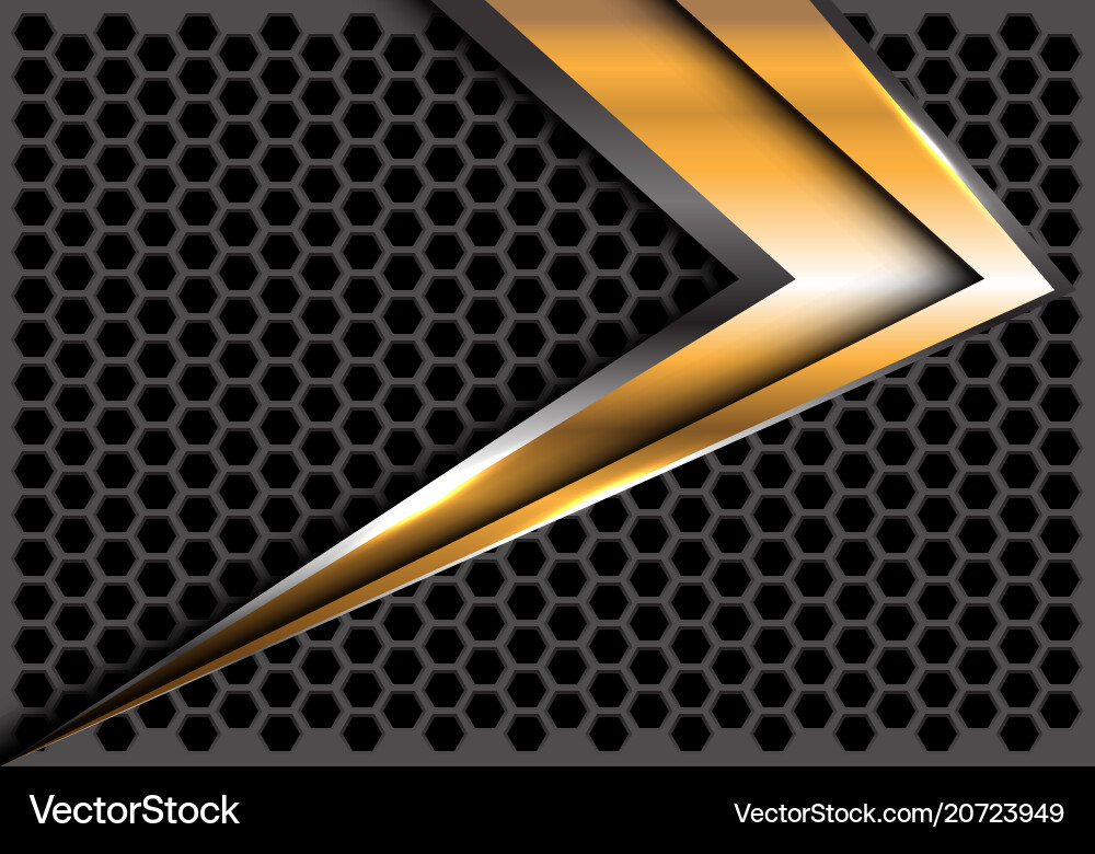 Abstract gold arrow speed on gray hexagon mesh Vector Image