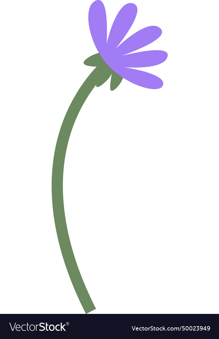Flower on stem Royalty Free Vector Image - VectorStock