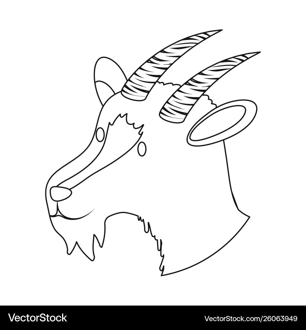 Isolated object dog and face symbol collection Vector Image