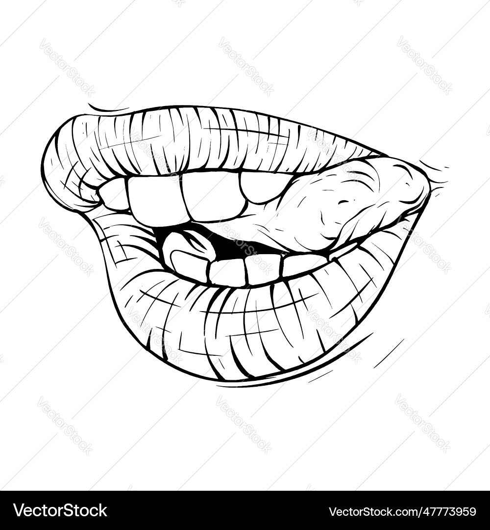 Mouth lips sketch line art Royalty Free Vector Image