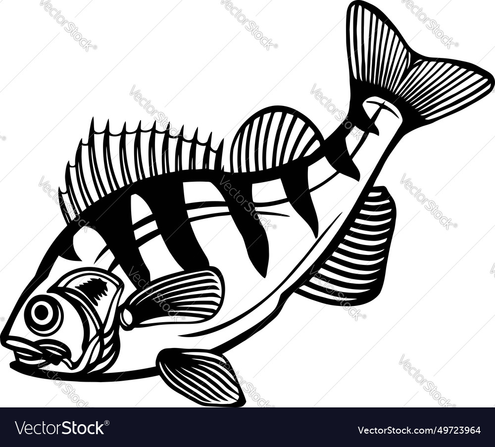 Perch - american fishes - logo fish Royalty Free Vector