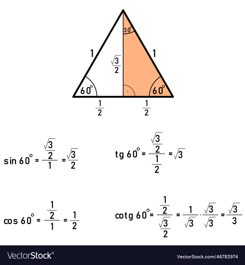 Goniometric functions for sixty degrees Royalty Free Vector