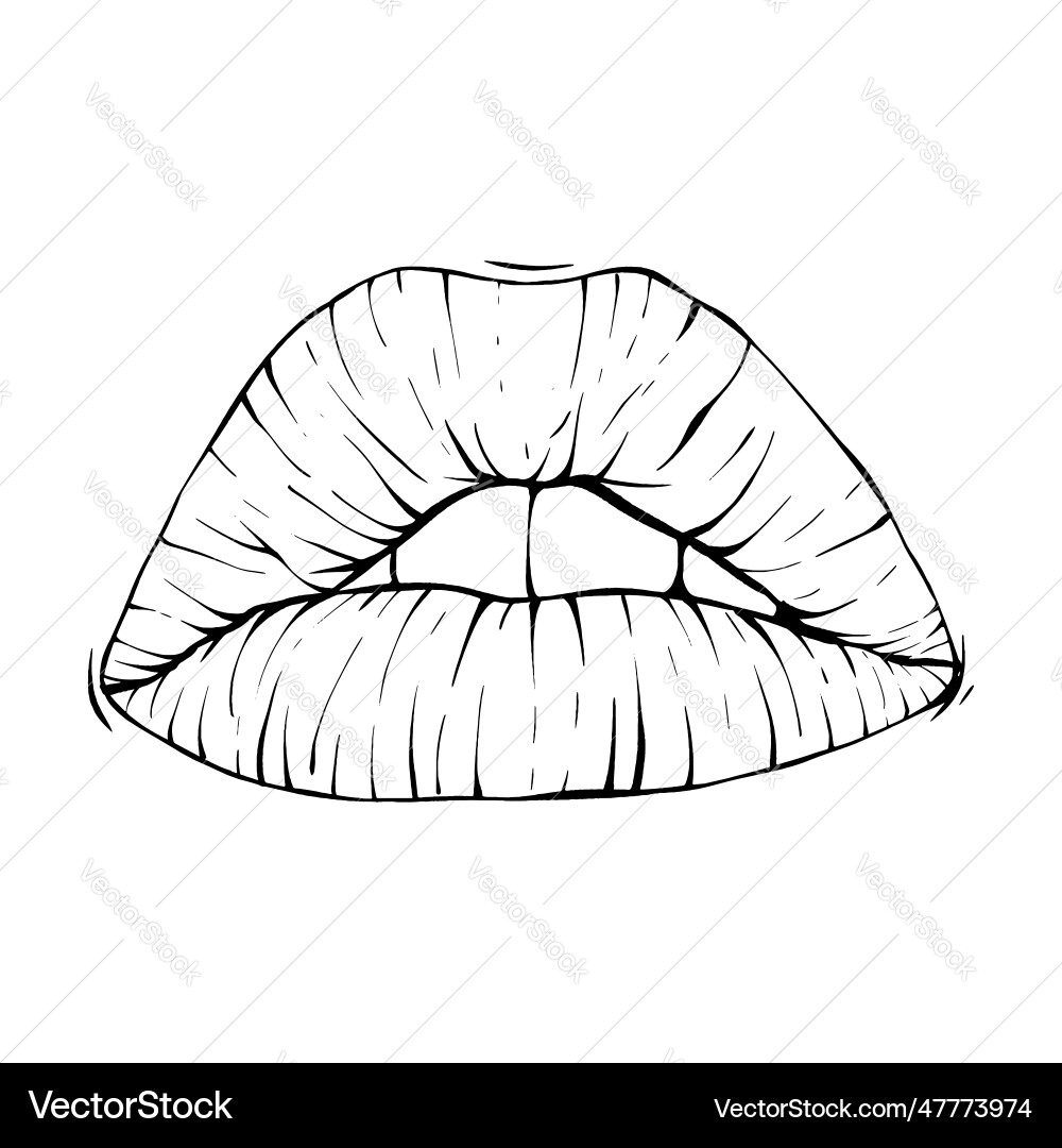 Mouth lips sketch line art Royalty Free Vector Image