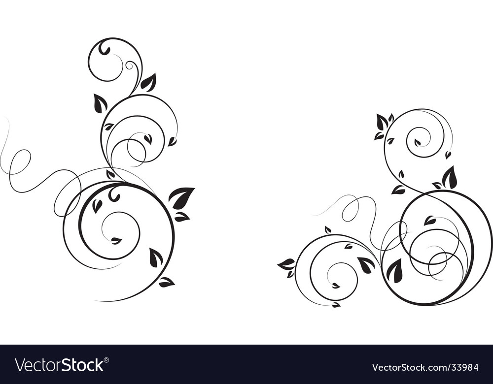 Floral design elements Royalty Free Vector Image