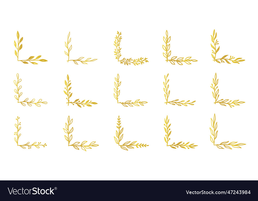 Gold corner border floral flower frame set hand Vector Image