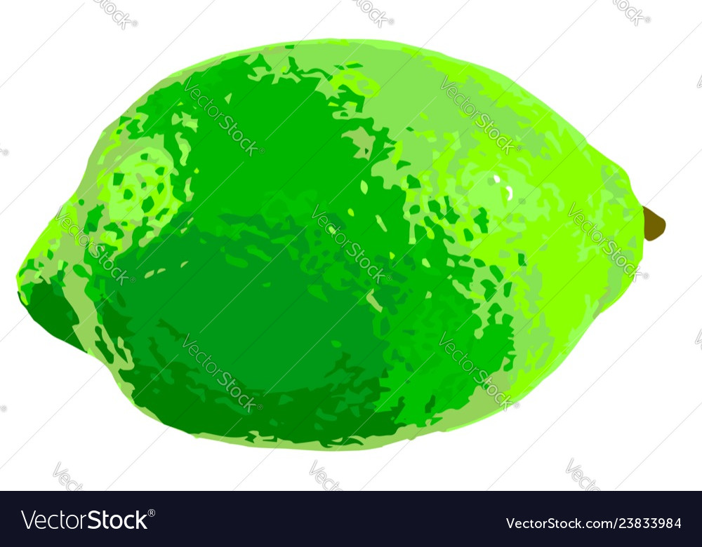 Lime Royalty Free Vector Image - VectorStock