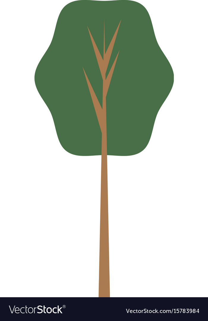 Tree isolated symbol Royalty Free Vector Image