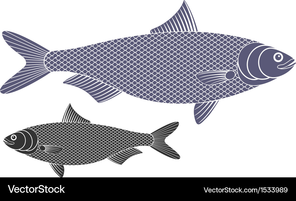 Herring Royalty Free Vector Image - VectorStock