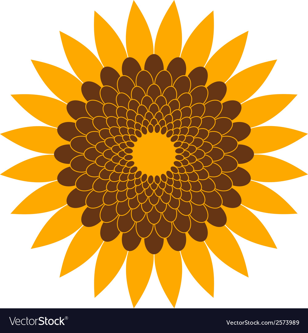 Sunflower Royalty Free Vector Image - VectorStock