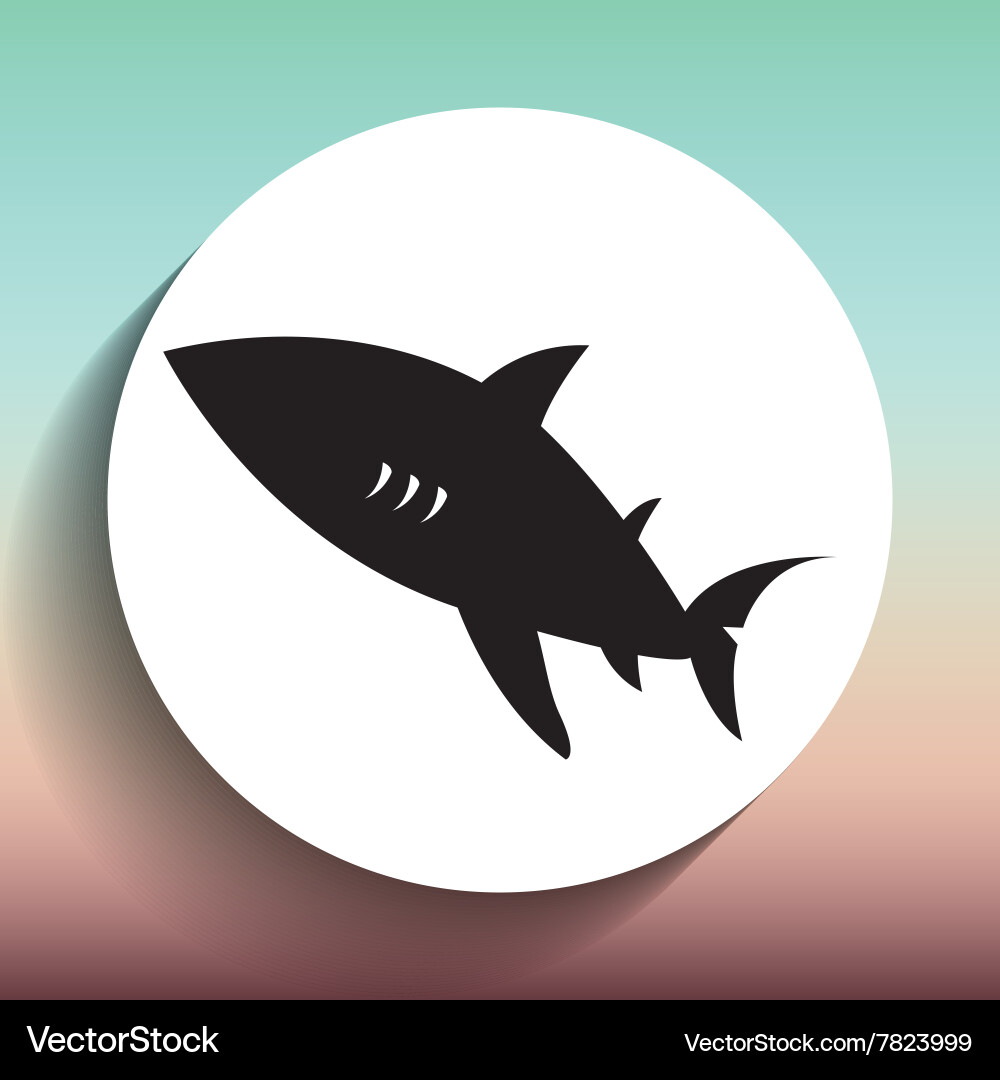 Shark icon design Royalty Free Vector Image - VectorStock