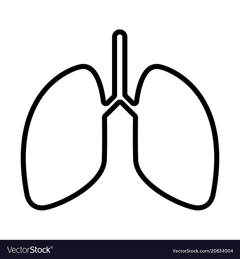 Lungs Line Icon Simple 96x96 Pictograph Royalty Free Vector
