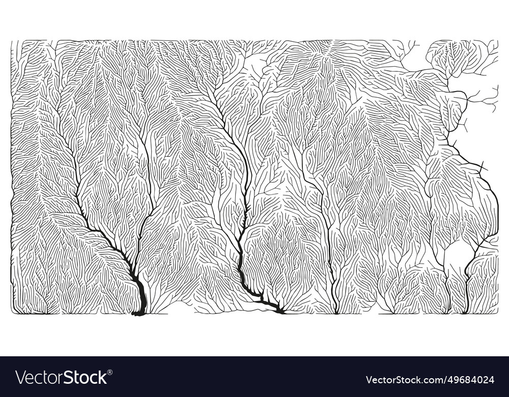 Growth Pattern Generative Branching Structure Vector Image