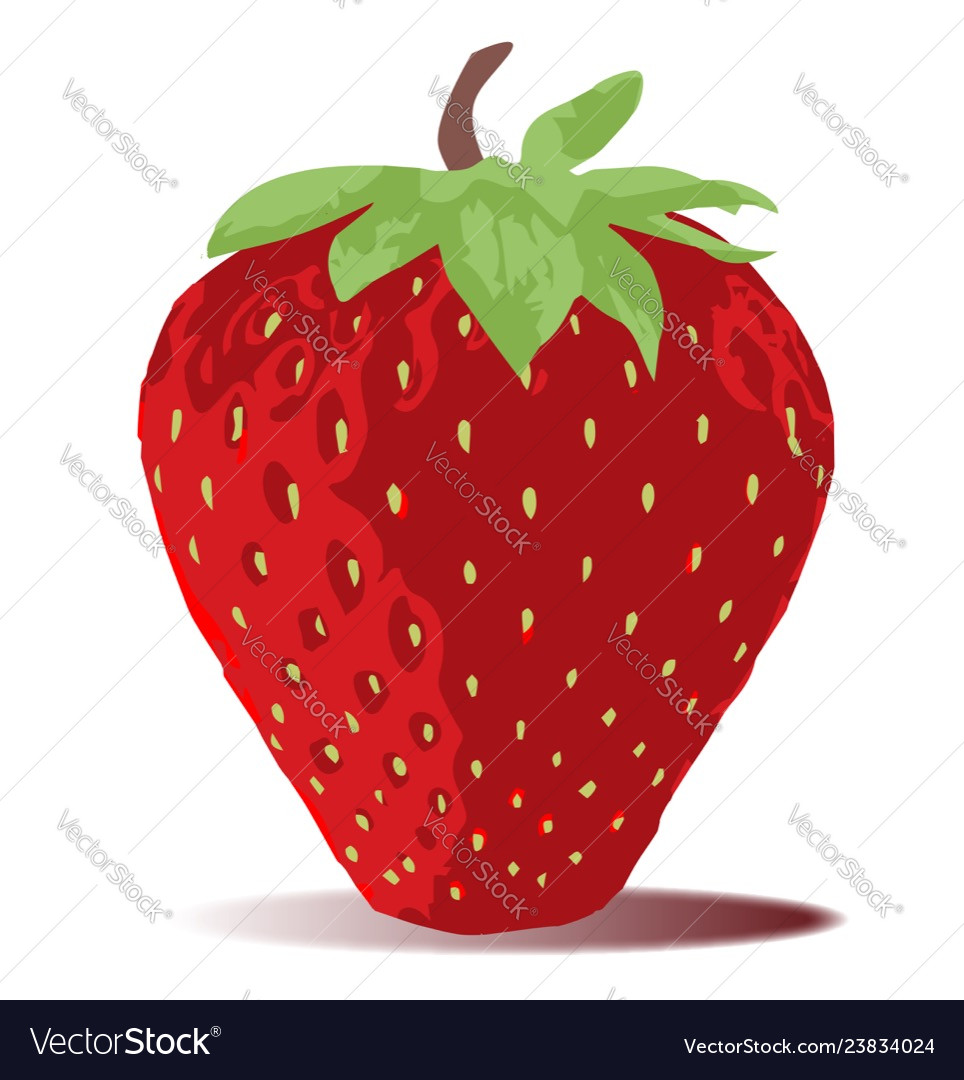 Strawberry Royalty Free Vector Image Vectorstock