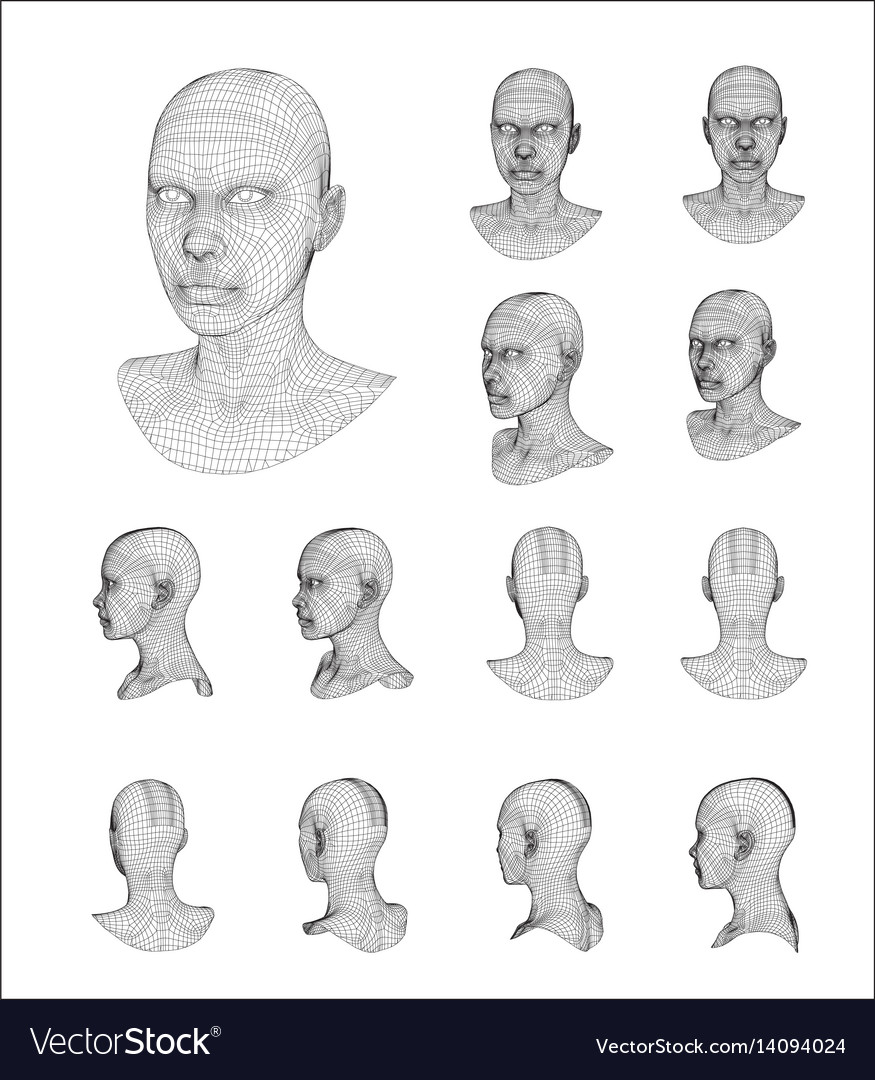 Wireframe head 3d model Royalty Free Vector Image
