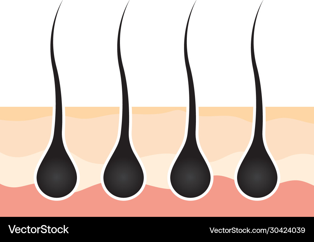 Hair symbol icon Royalty Free Vector Image - VectorStock