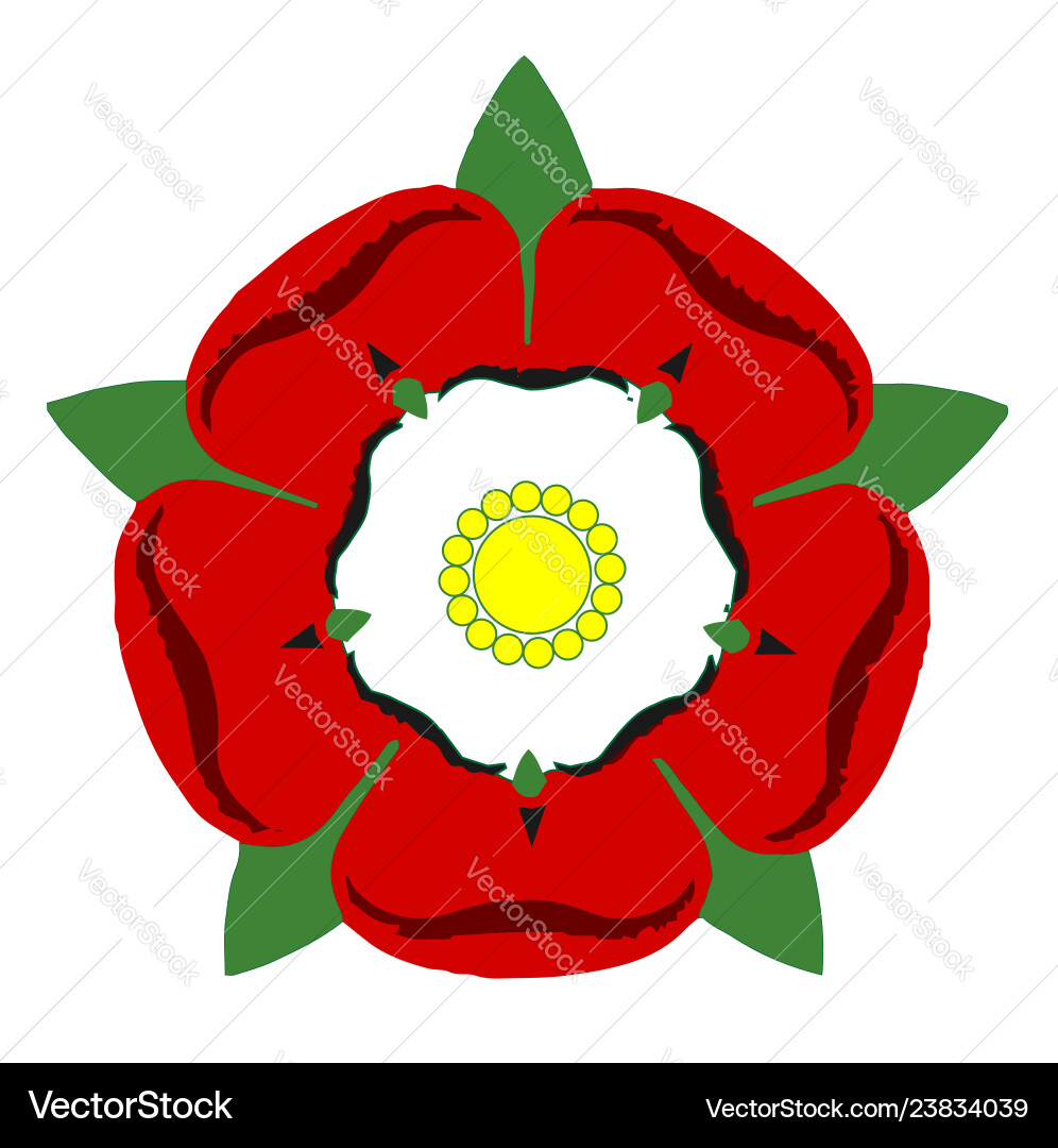 War of the roses Royalty Free Vector Image - VectorStock