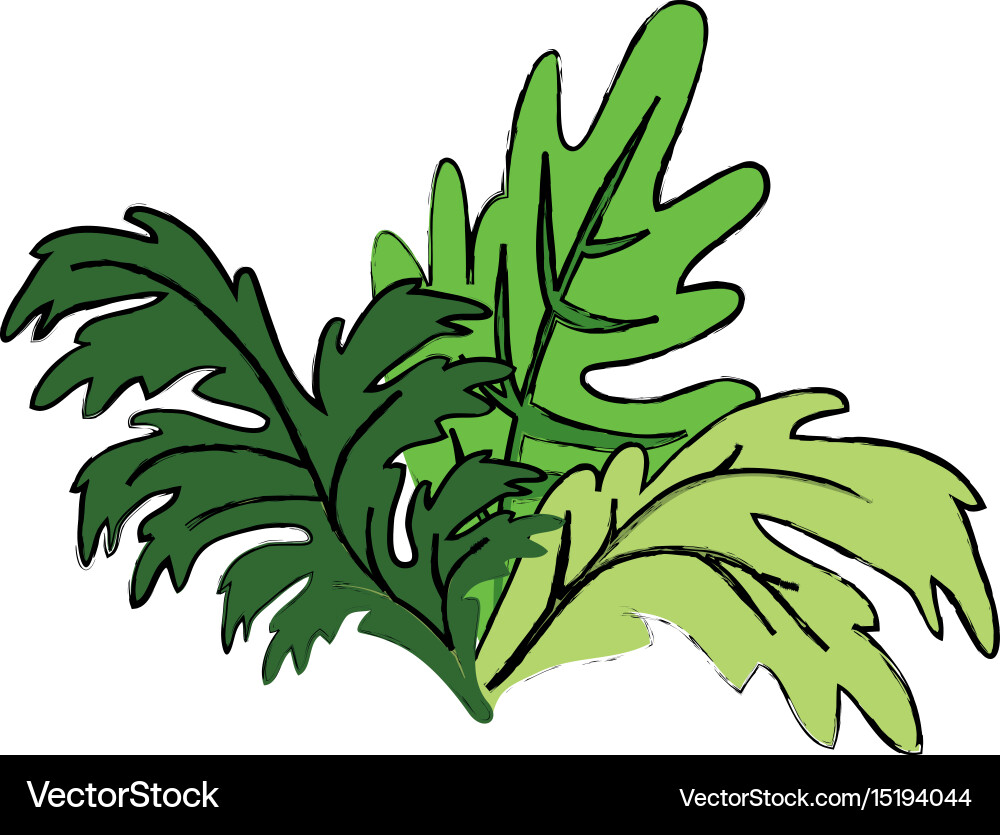 Plant nature ecology Royalty Free Vector Image