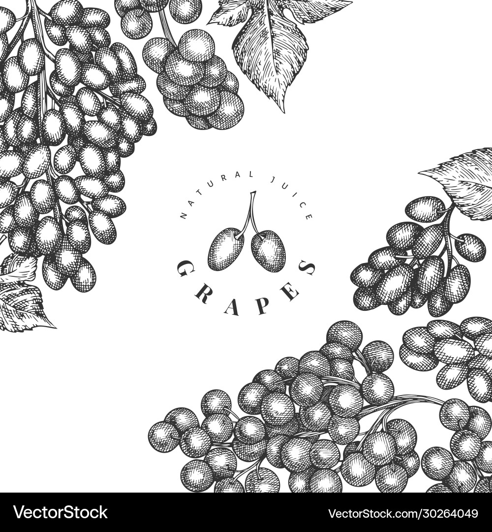 Grape design template hand drawn berry Royalty Free Vector