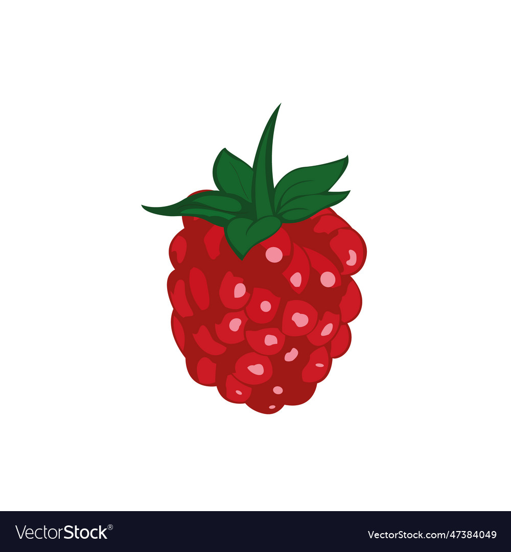 Raspberry with leaf icon Royalty Free Vector Image