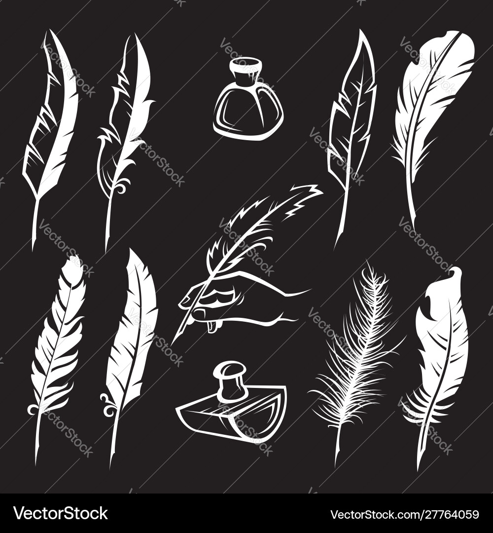 Feather pens set Royalty Free Vector Image - VectorStock