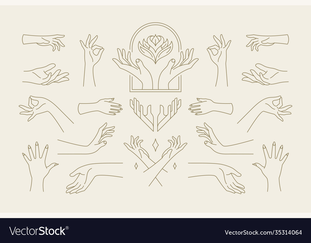 Female hands gestures collection line art hand Vector Image