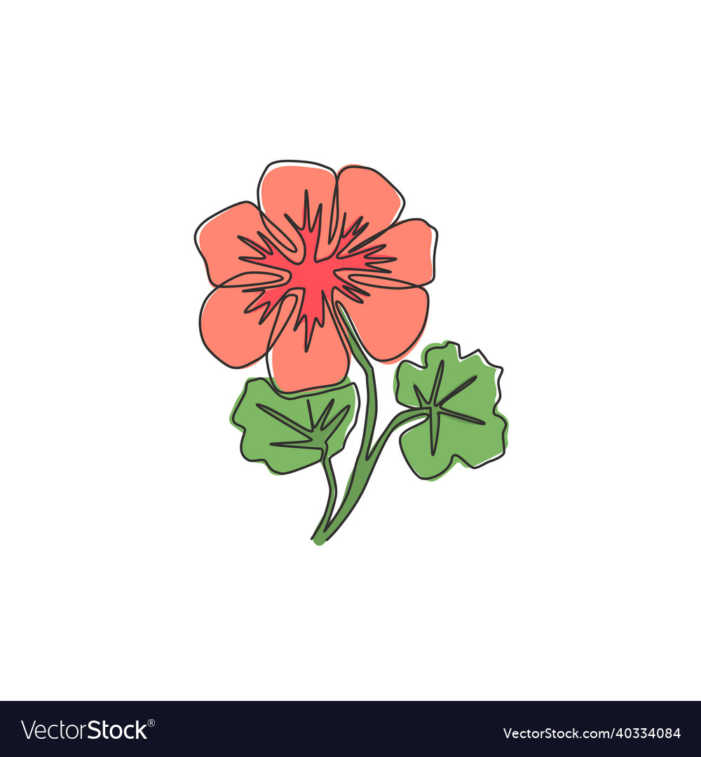 Single Continuous Line Drawing Beauty Fresh Vector Image