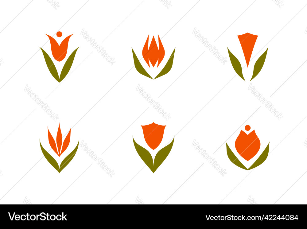 Tulip flower logo mark template or icon set Vector Image