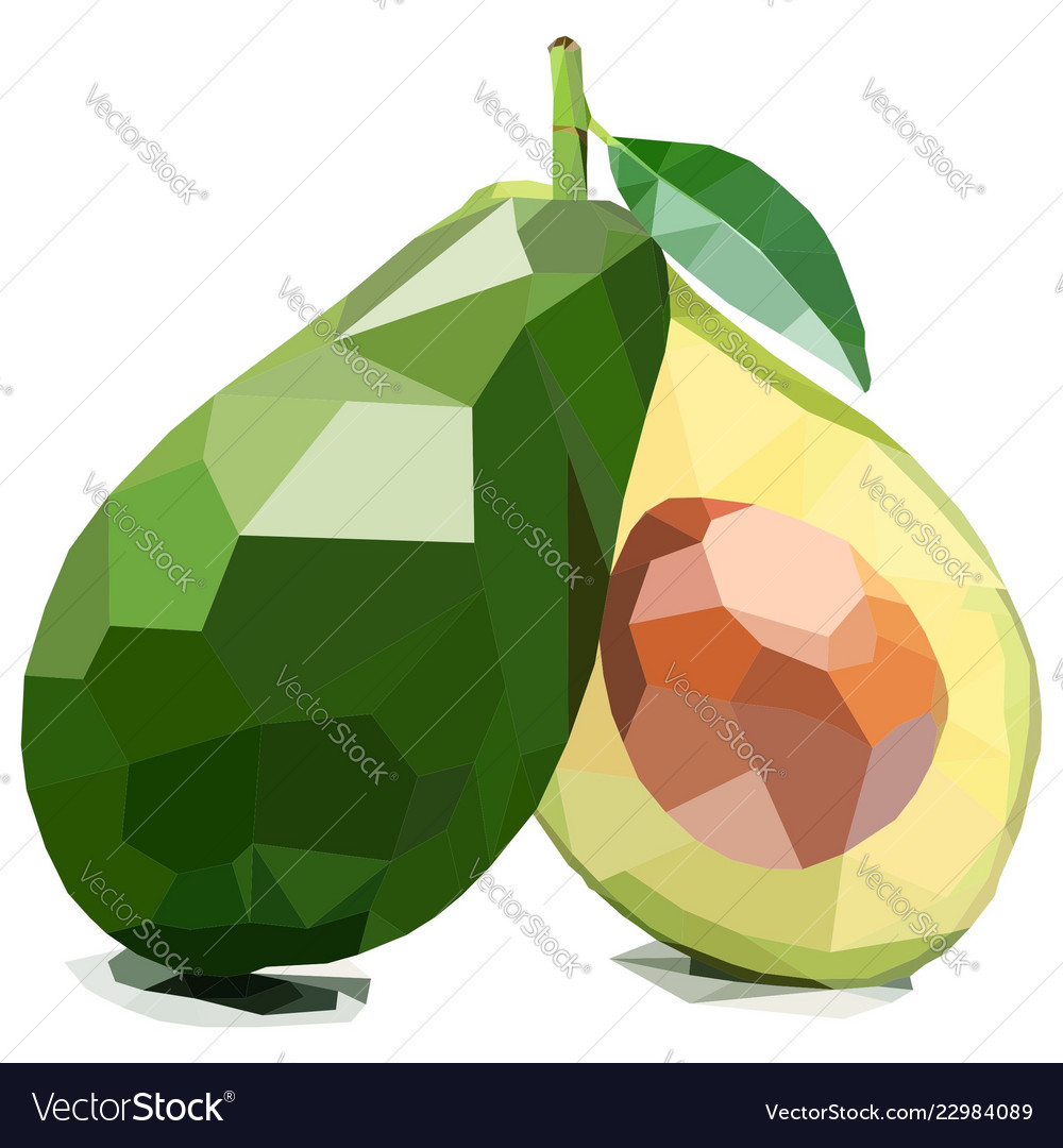 Avocado 1 Royalty Free Vector Image - VectorStock