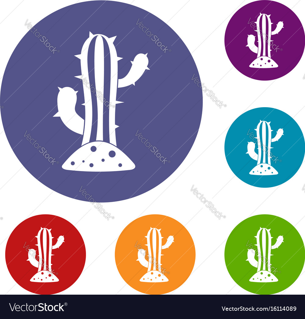 Cactus icons set Royalty Free Vector Image - VectorStock Cactus icons set Royalty Free Vector Image - VectorStock