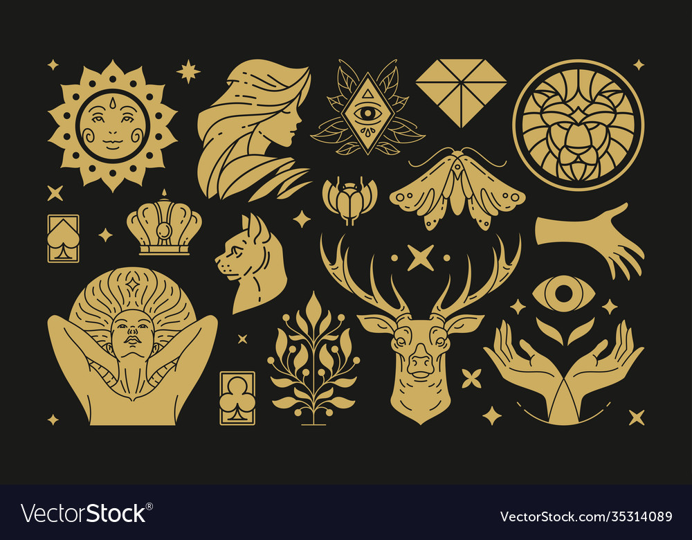 Esoteric magic and witch design elements Vector Image