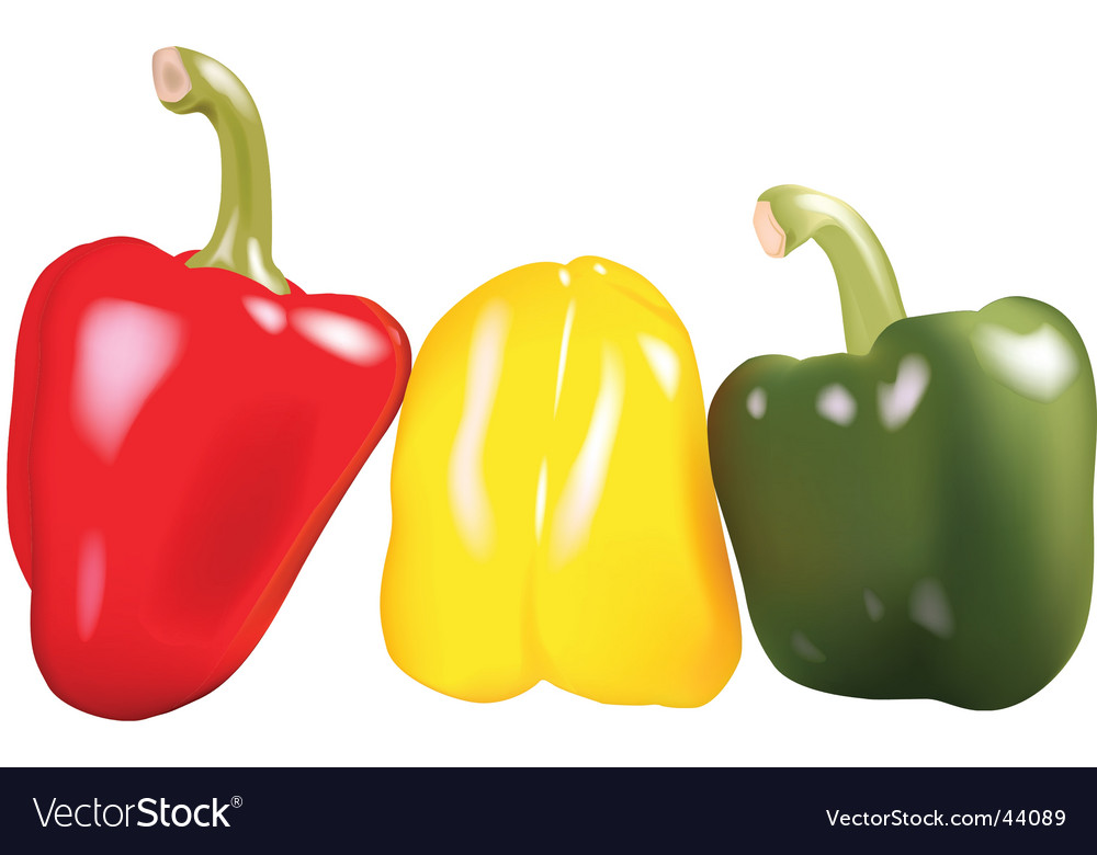 Pepper Royalty Free Vector Image - VectorStock