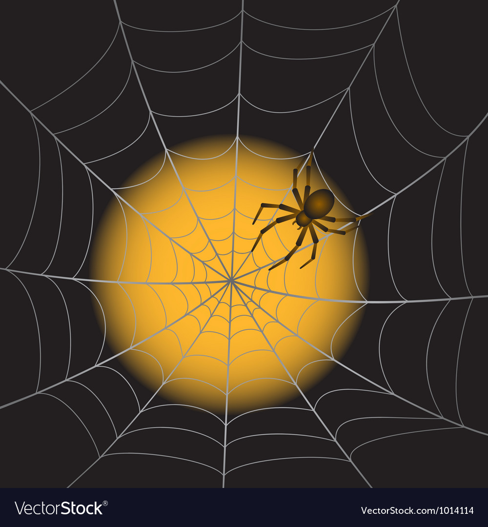 A spiderweb with spider Royalty Free Vector Image