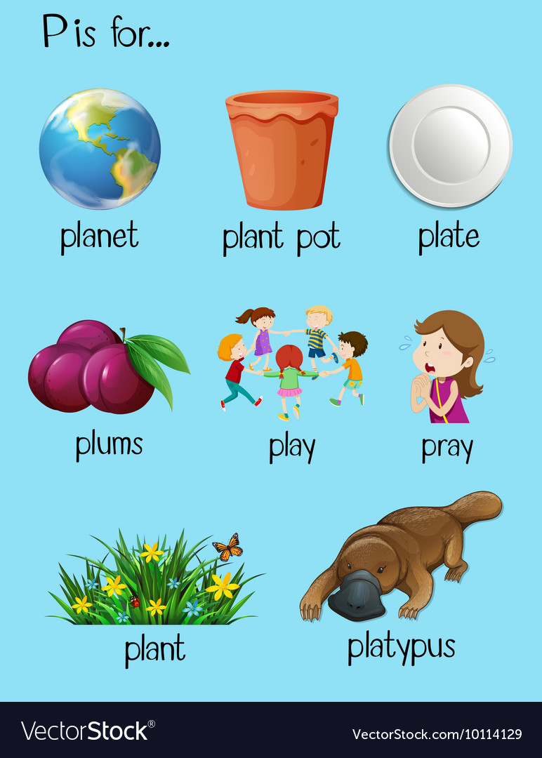 Many Words Begin With Letter P Royalty Free Vector Image