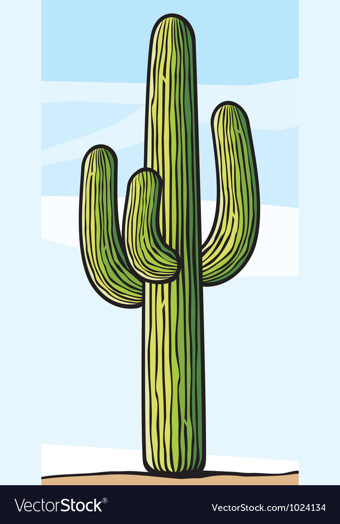 Cactus Royalty Free Vector Image - VectorStock
