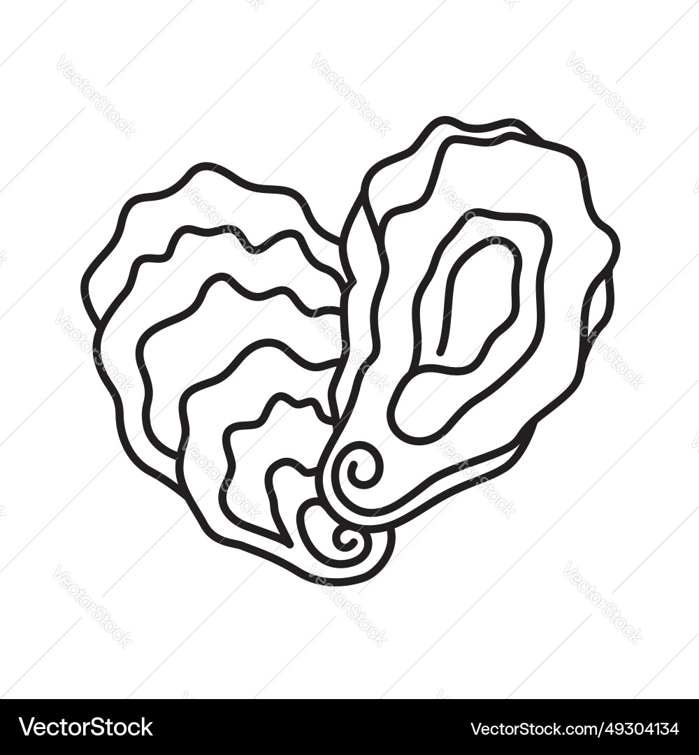 Oyster shell set Royalty Free Vector Image - VectorStock