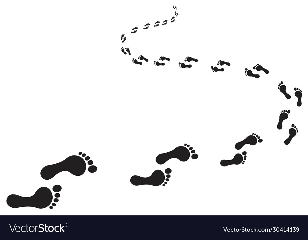 Footprint path isolated on white Royalty Free Vector Image Footprint path isolated on white Royalty Free Vector Image