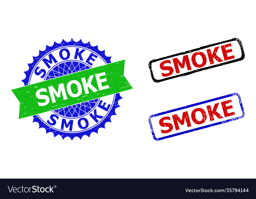 Smoke rosette and rectangle bicolor badges Vector Image