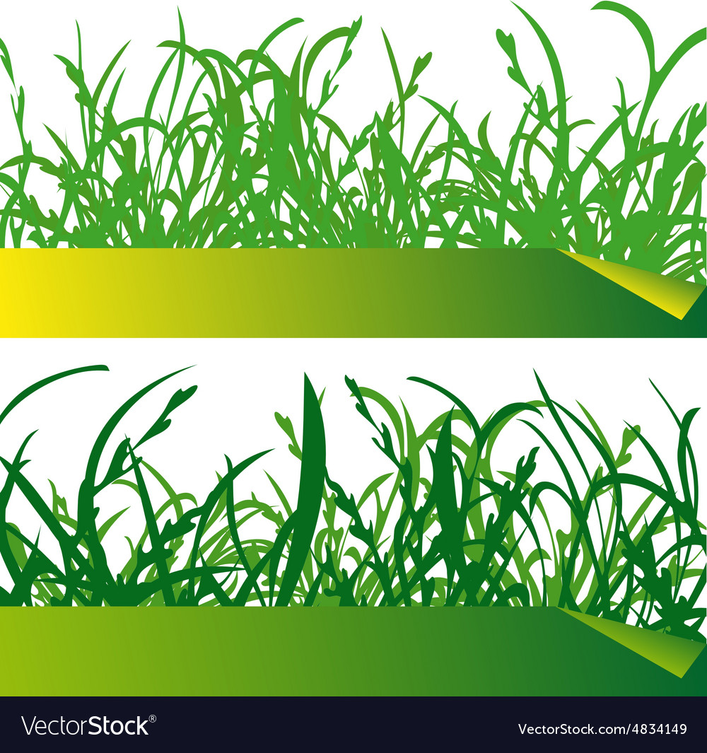 Green grass labels Royalty Free Vector Image - VectorStock