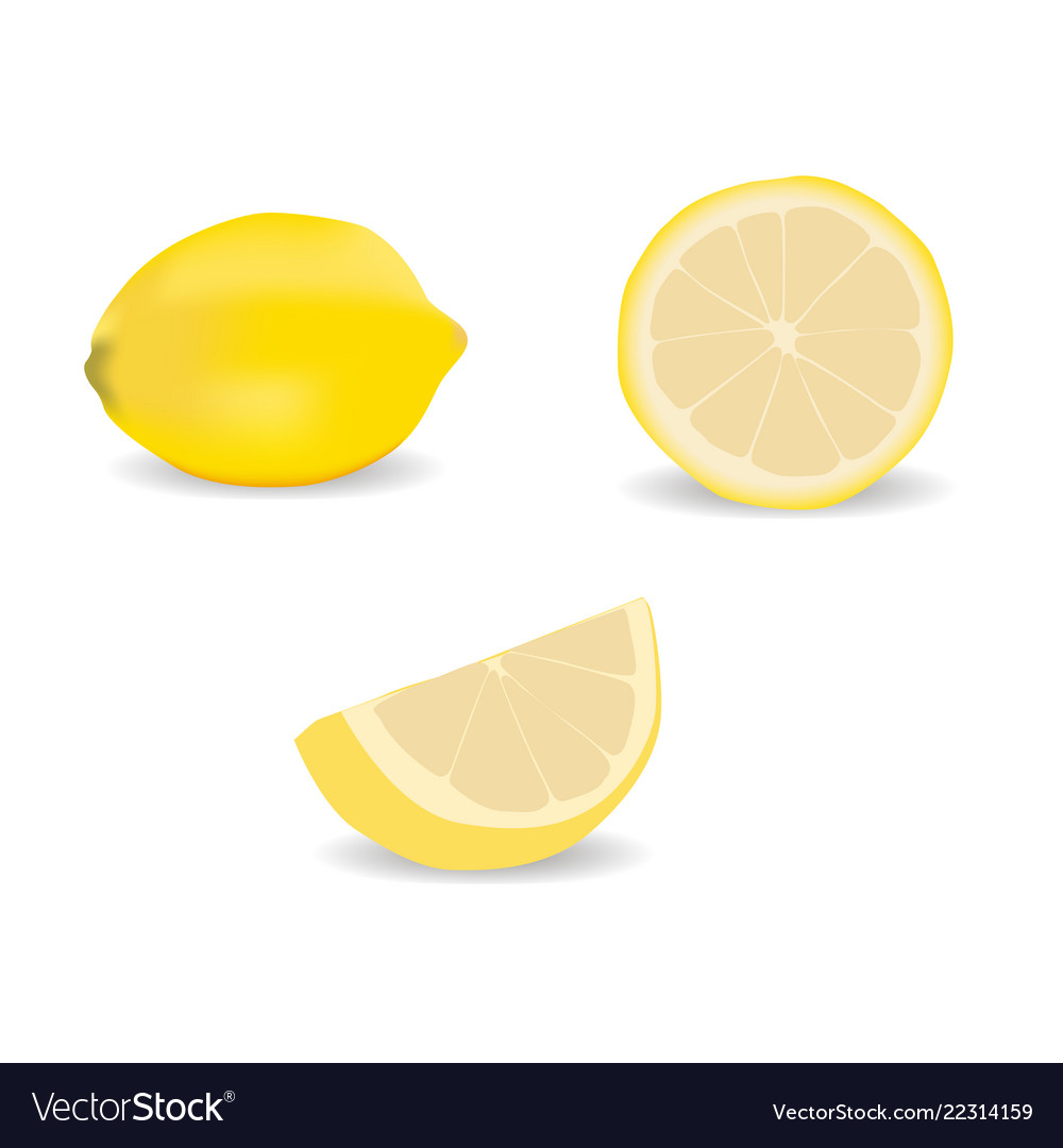 Lemon Royalty Free Vector Image - VectorStock