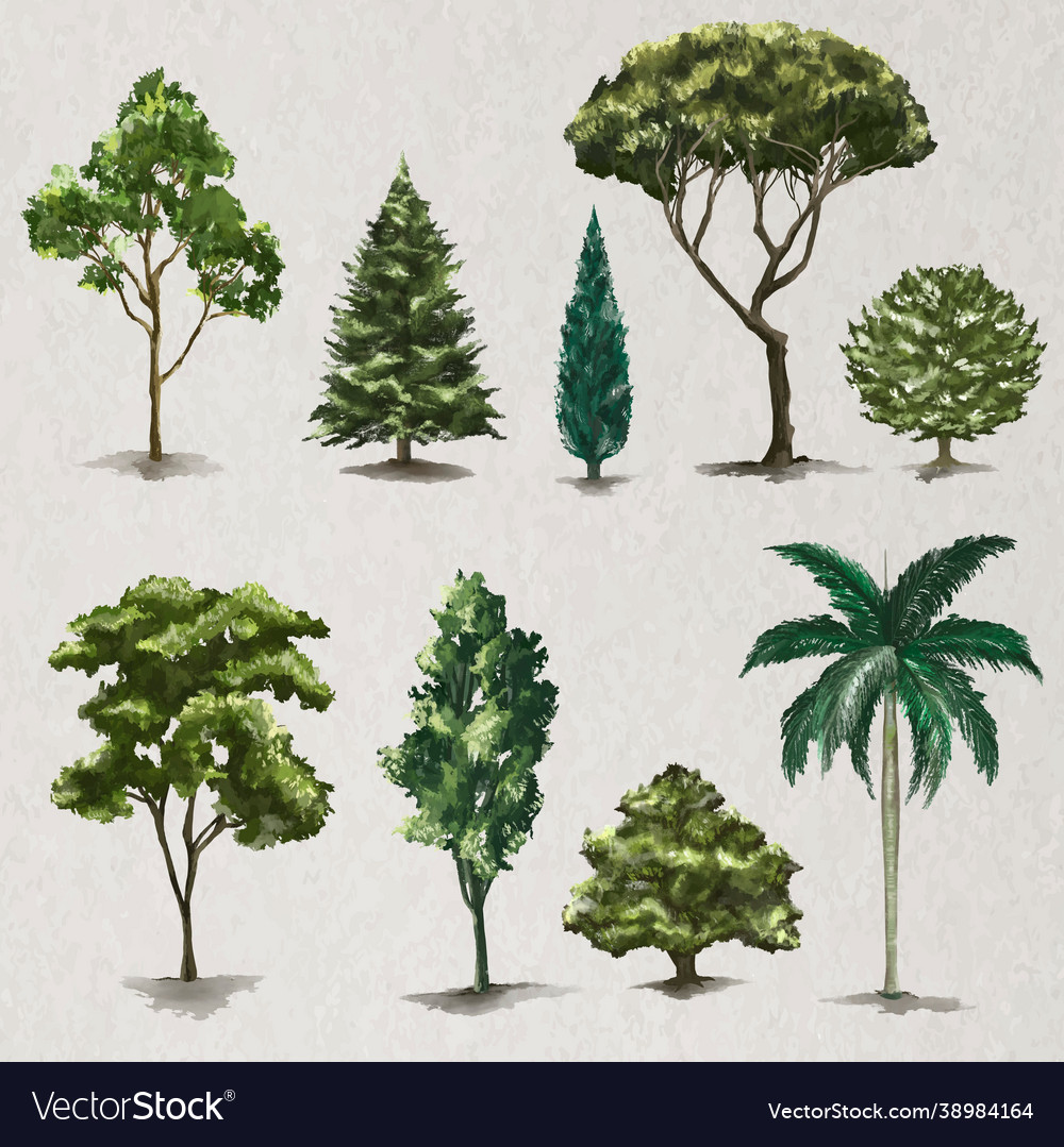 Tree element set nature painting Royalty Free Vector Image