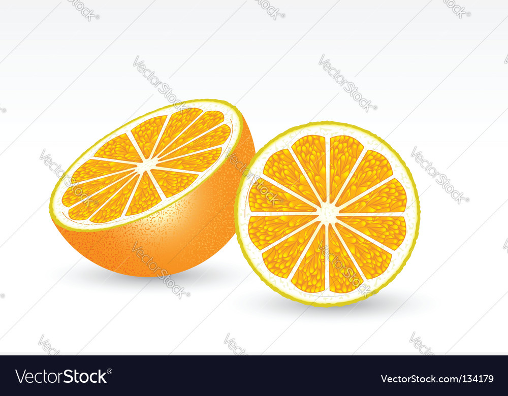 Orange Royalty Free Vector Image - VectorStock