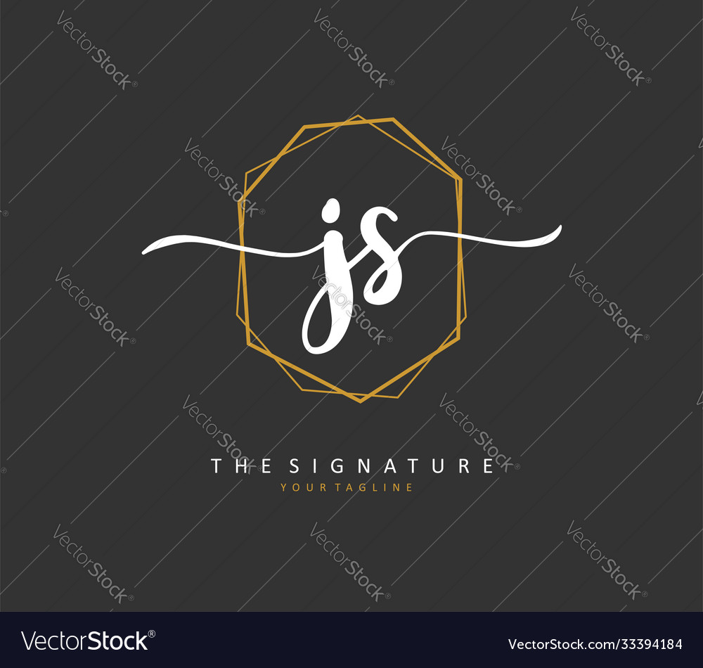 J s js initial letter handwriting and signature Vector Image