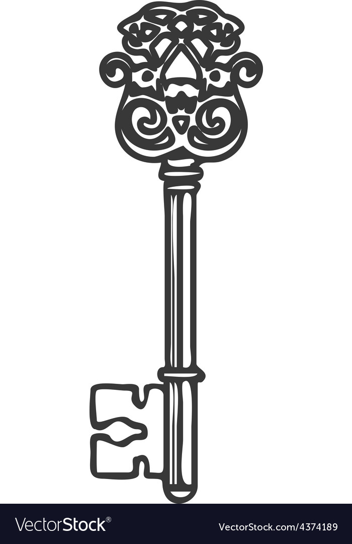 Key isolated on white background Royalty Free Vector Image