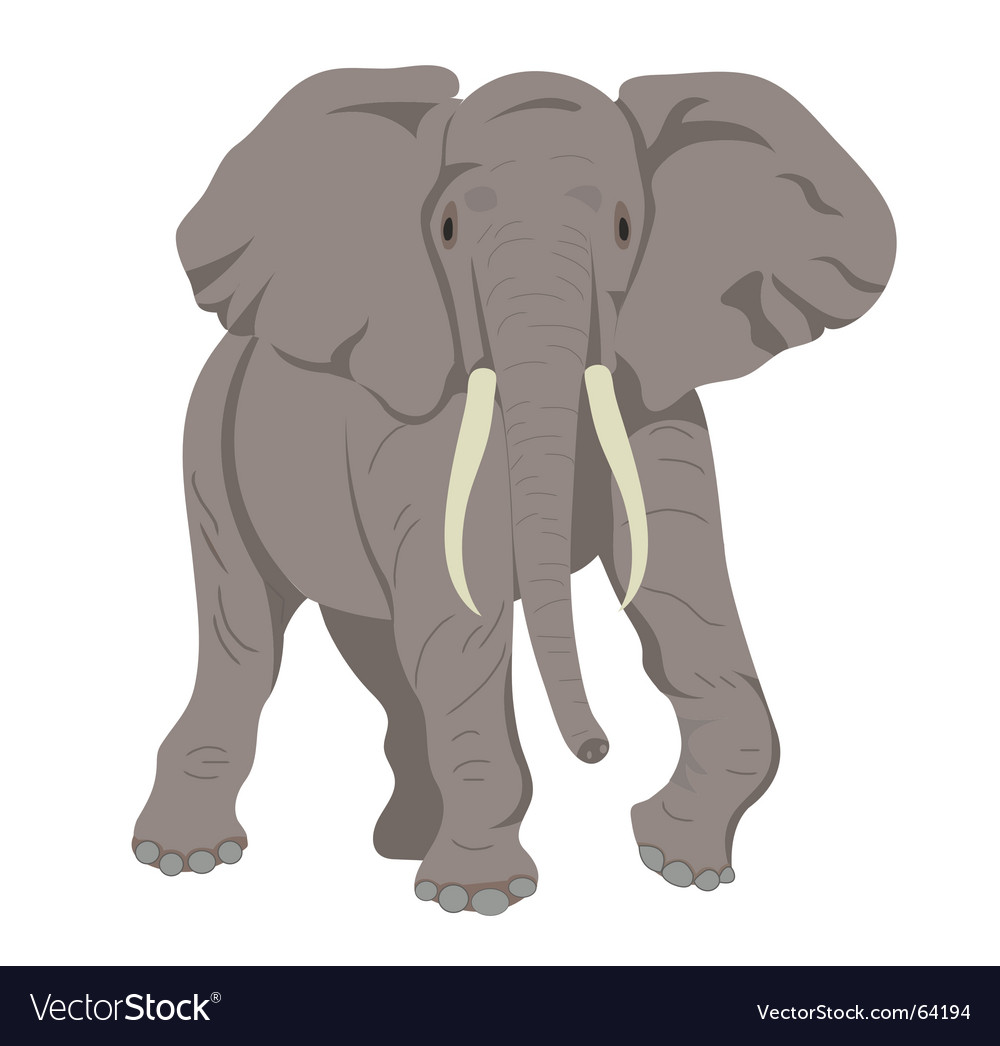 Elephant Royalty Free Vector Image - VectorStock
